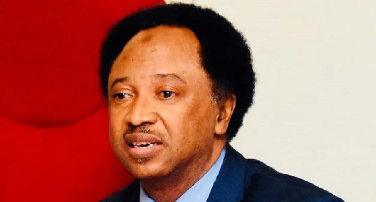Shehu Sani Appointed Chancellor of Franco-British International ...